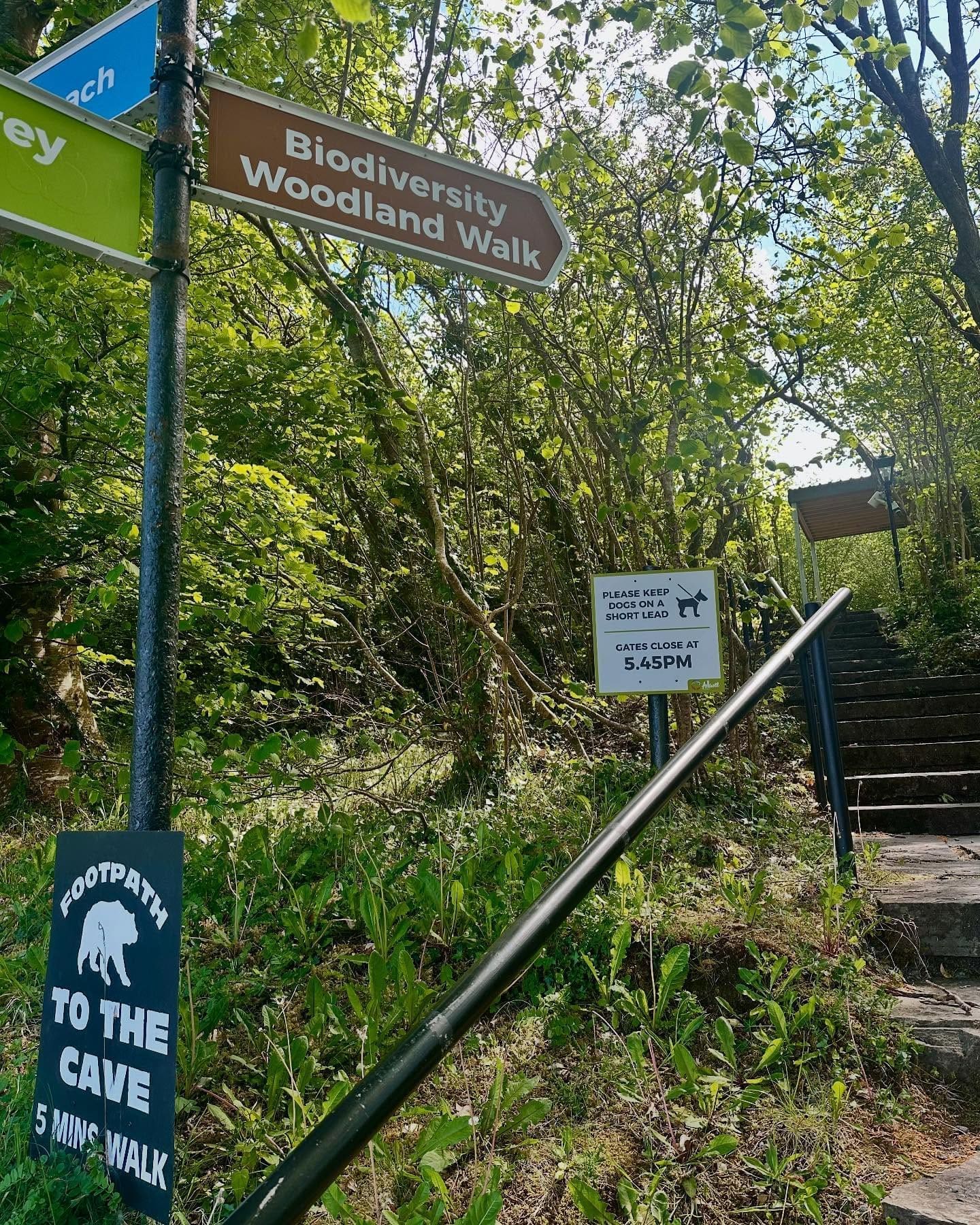 Opening Times & Prices - Aillwee Burren Experience, Birds of Prey, Cave ...