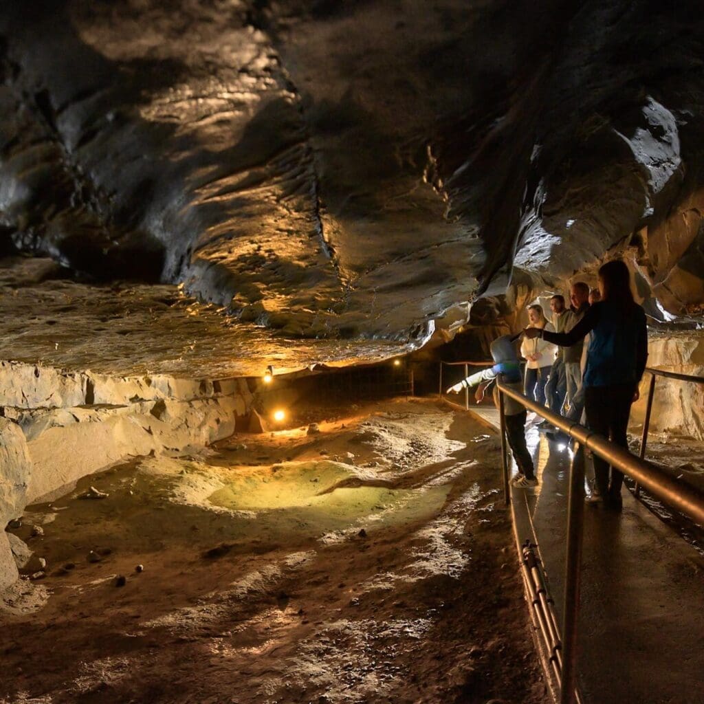 Aillwee Cave the Burren - Aillwee Burren Experience, Birds of Prey ...