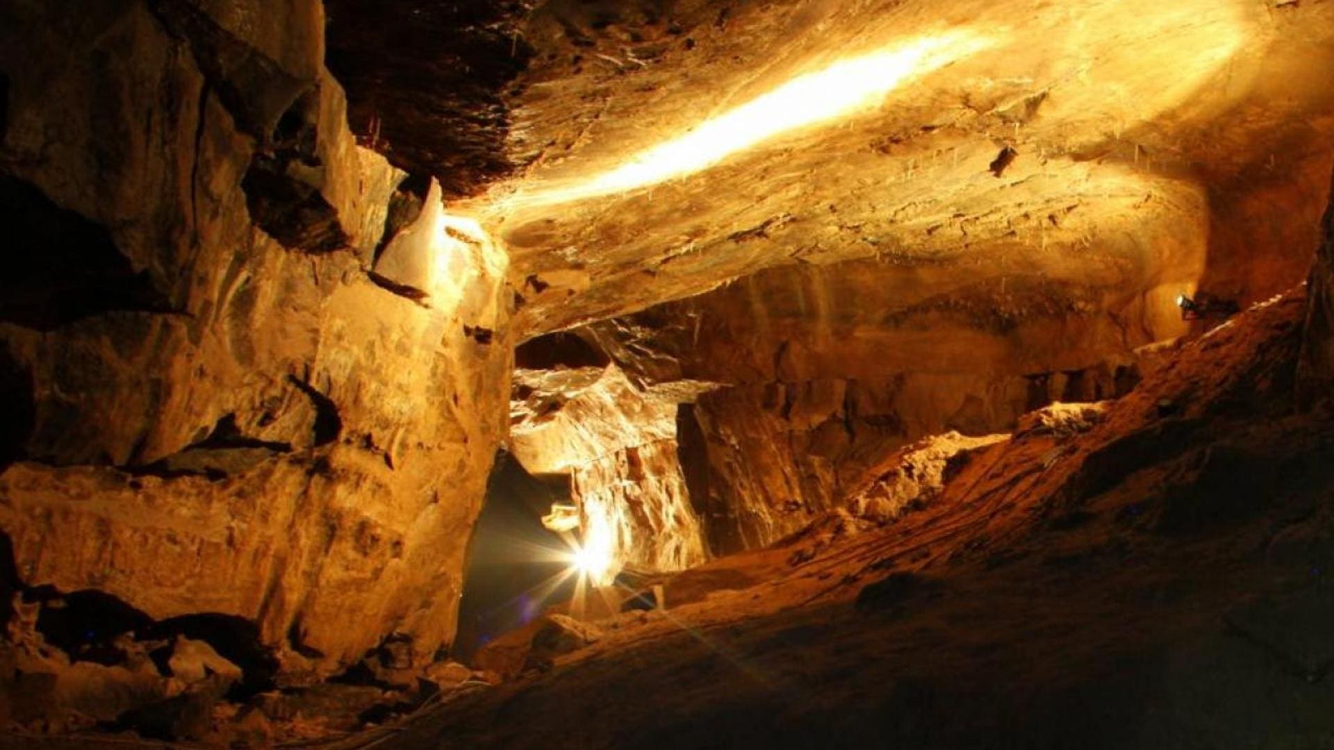 Aillwee Cave the Burren - Aillwee Burren Experience, Birds of Prey ...