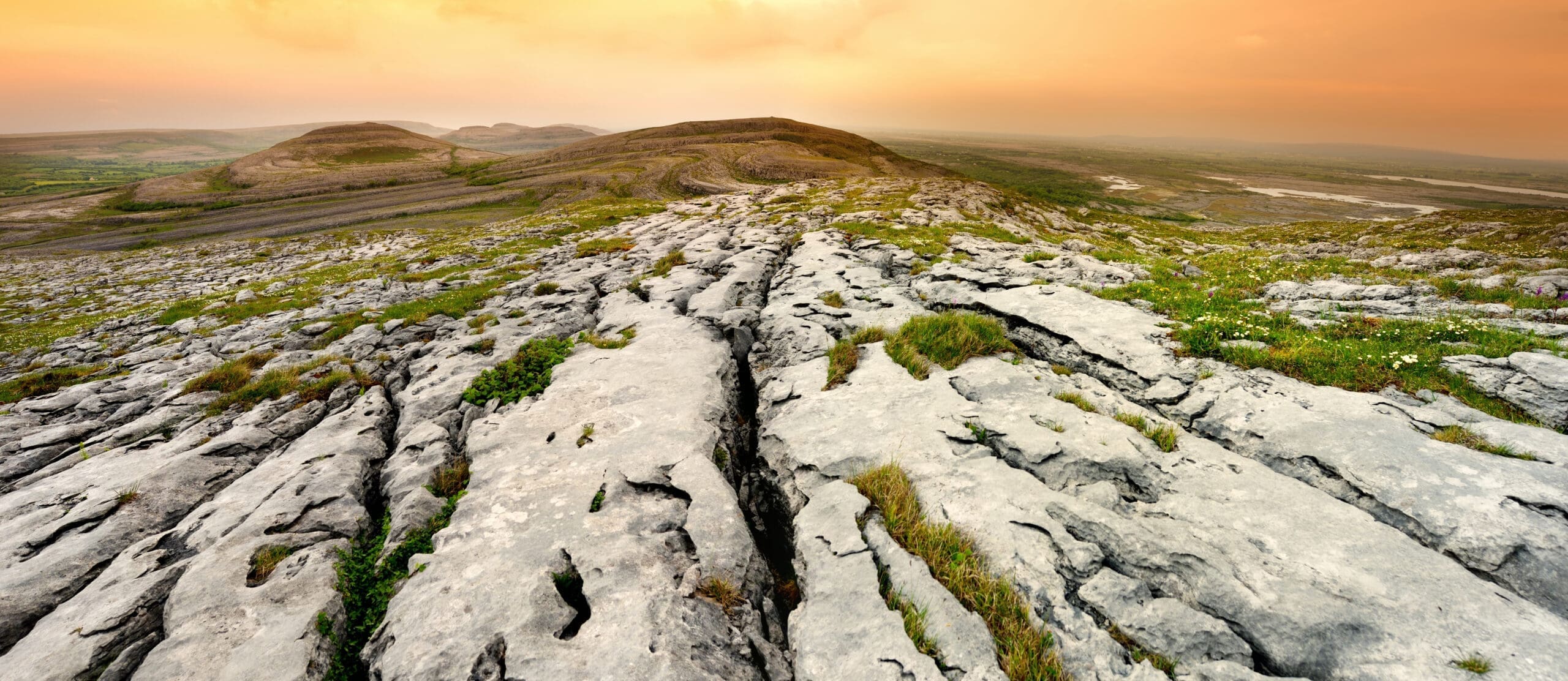 The Burren Region - Aillwee Burren Experience, Birds of Prey, Cave Tours